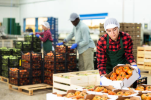 ¿Qué Es la Merma de Productos? ¡Todo lo Que Necesitas Saber! | Yimi Blog